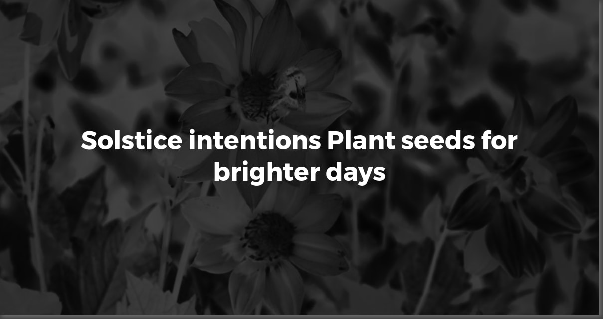 Winter Solstice Intentions: Examples for a Meaningful Ritual | WishesBirds