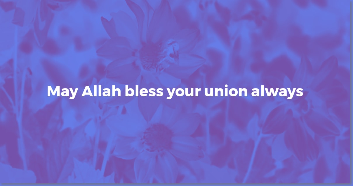 Islamic Wedding Wishes: Heartfelt Blessings & Quotes | WishesBirds