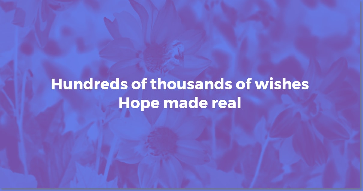 Make-A-Wish: How Many Wishes Granted? (Official Number) | WishesBirds
