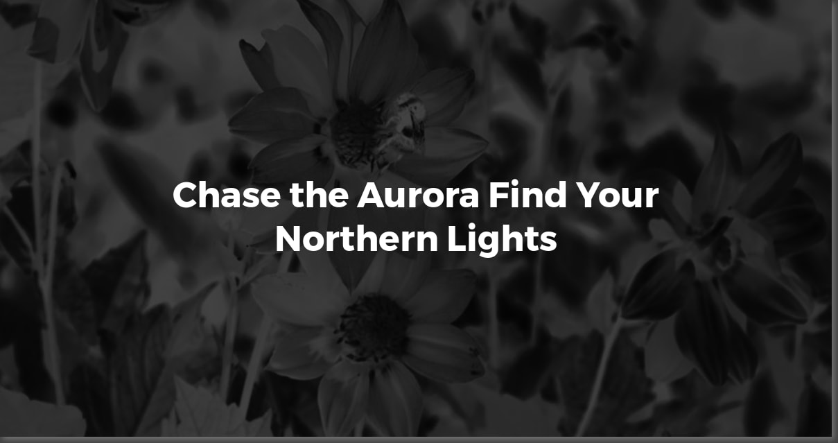 Best Places to See Northern Lights: Your Ultimate Viewing Guide ...