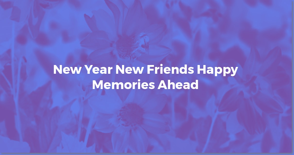 Happy New Year Wishes for Friends: Heartfelt & Funny Messages | WishesBirds