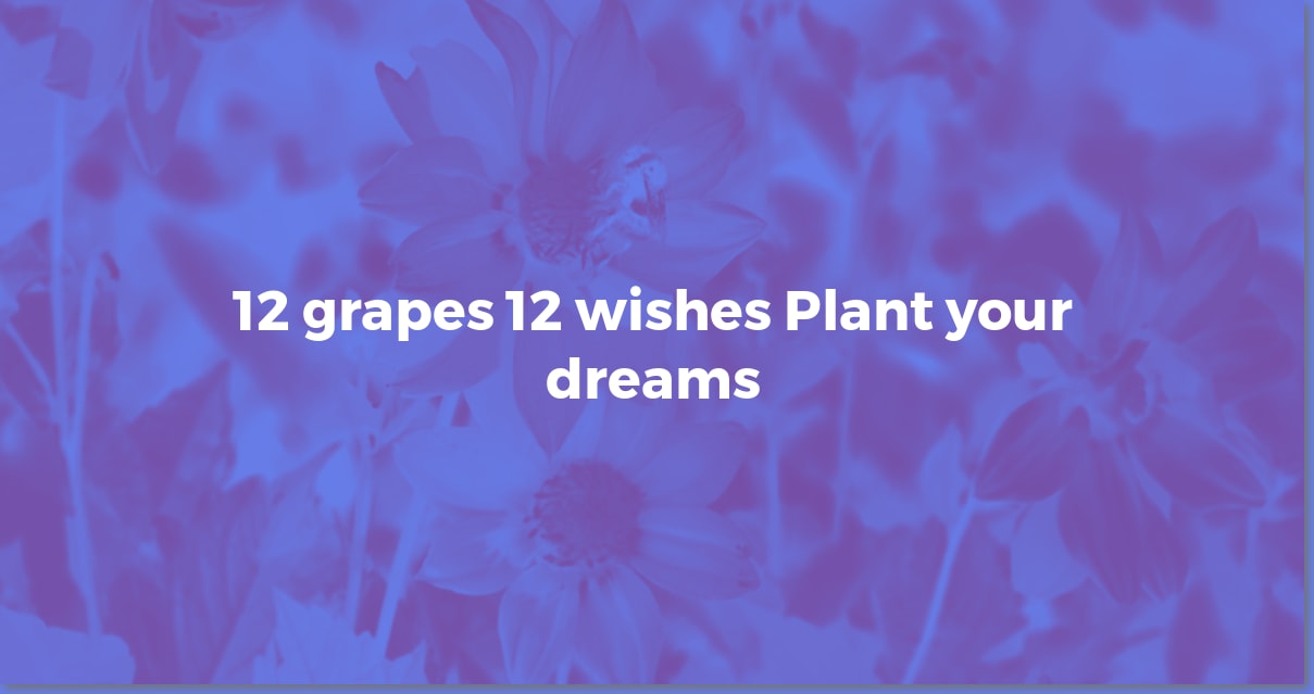 12 Grapes Wishes: Inspiring Examples for a Lucky New Year! | WishesBirds