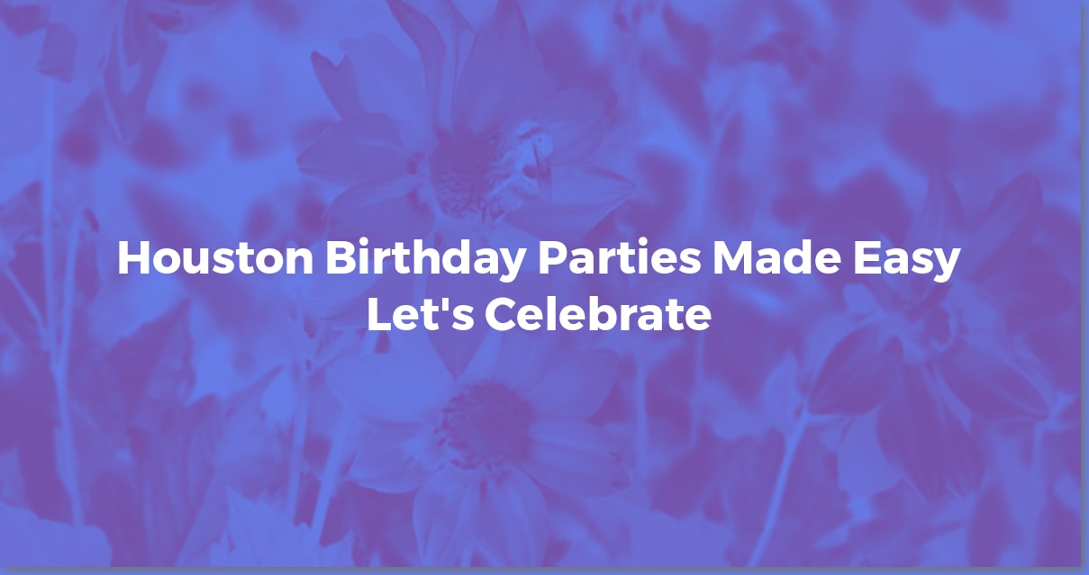 Birthday Party Places Houston: Venues, Packages & Ideas | WishesBirds