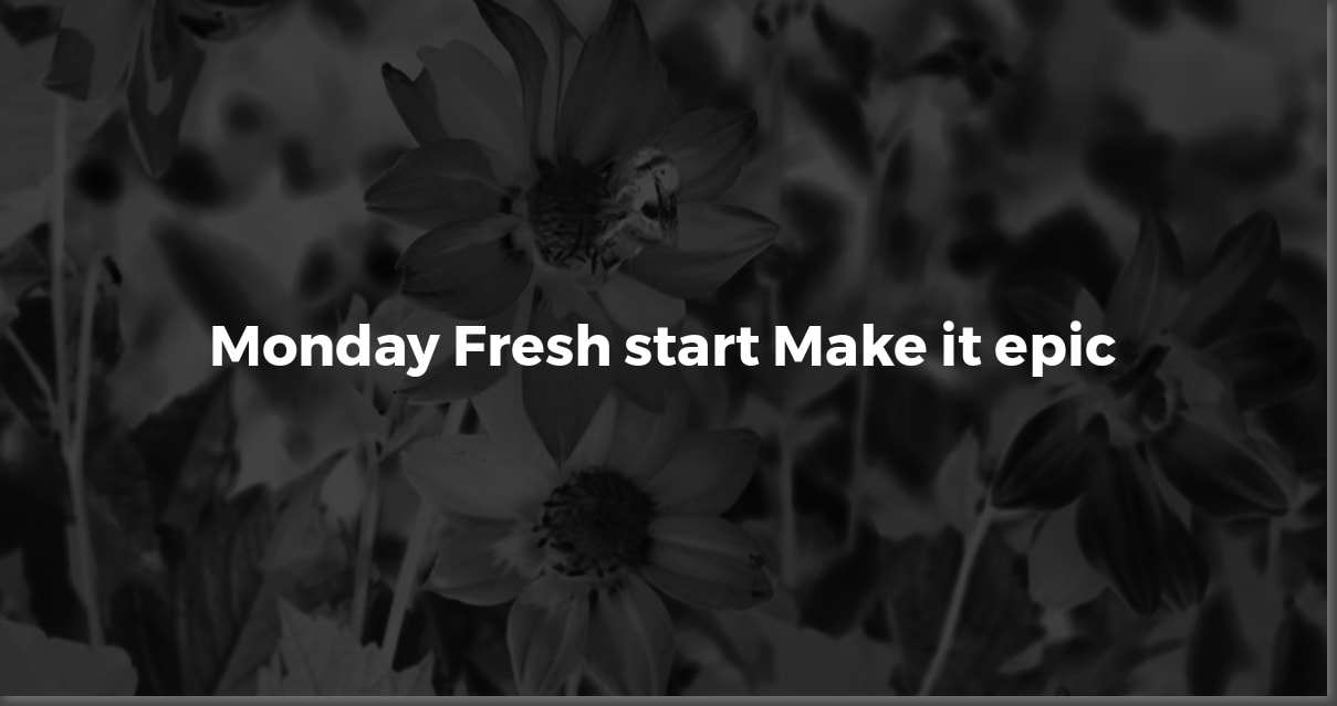 Motivational Monday Quotes for Work: Boost Your Team's Morale | WishesBirds
