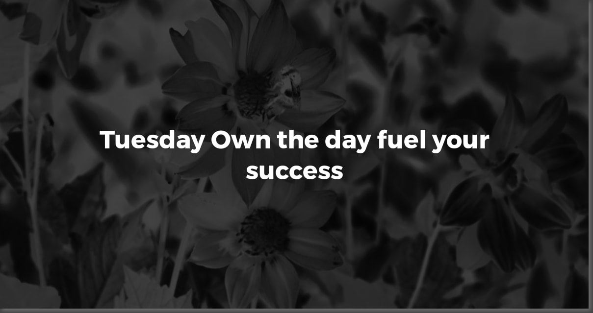 Tuesday Motivation Quotes for Work: Boost Your Productivity! | WishesBirds