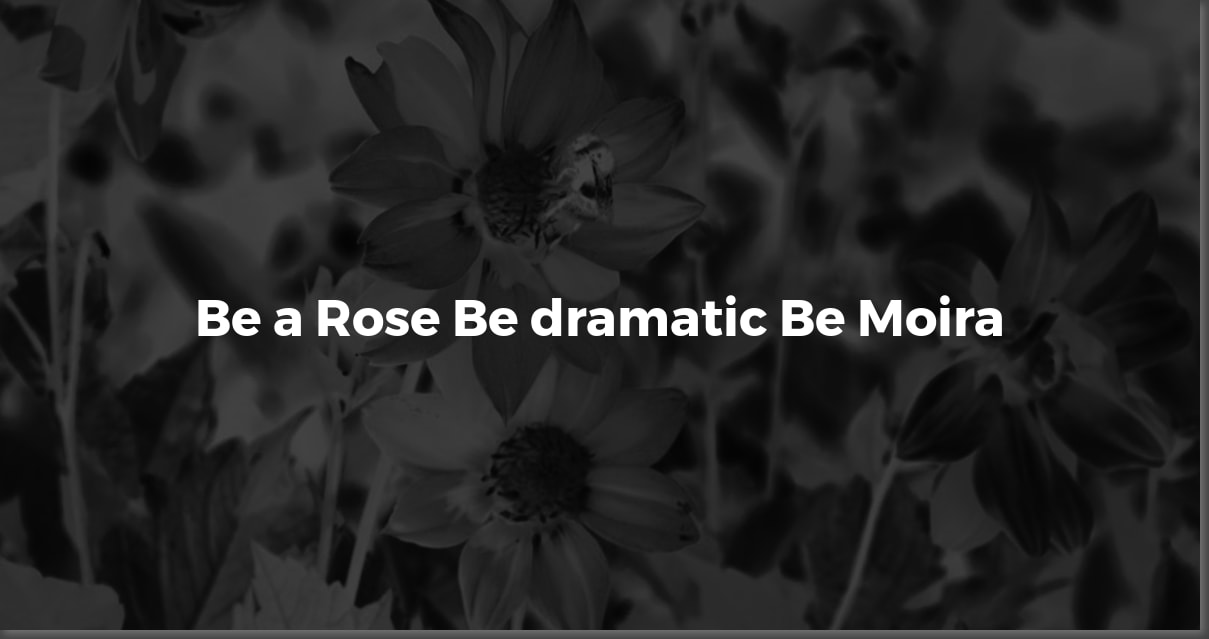 Moira Rose Quotes: The Funniest & Most Memorable Lines | WishesBirds